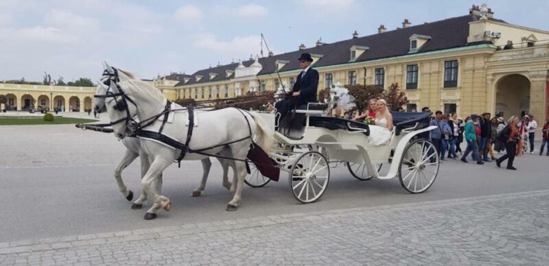 Vienna: Carriage Ride Through Schönbrunn Palace Gardens - Starting Point and First Impressions