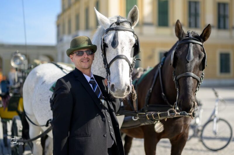 Vienna: Carriage Ride Through Schönbrunn Palace Gardens - Considerations and Limitations