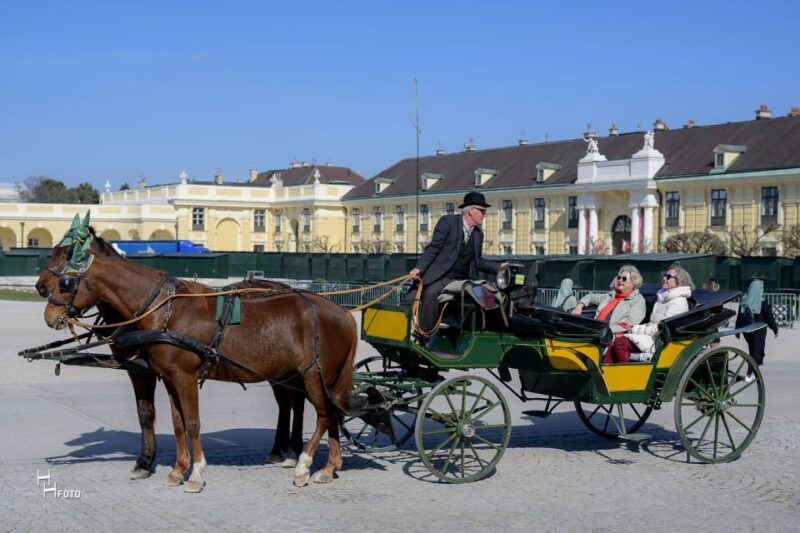 Vienna: Carriage Ride Through Schönbrunn Palace Gardens - Accessibility and Practical Tips