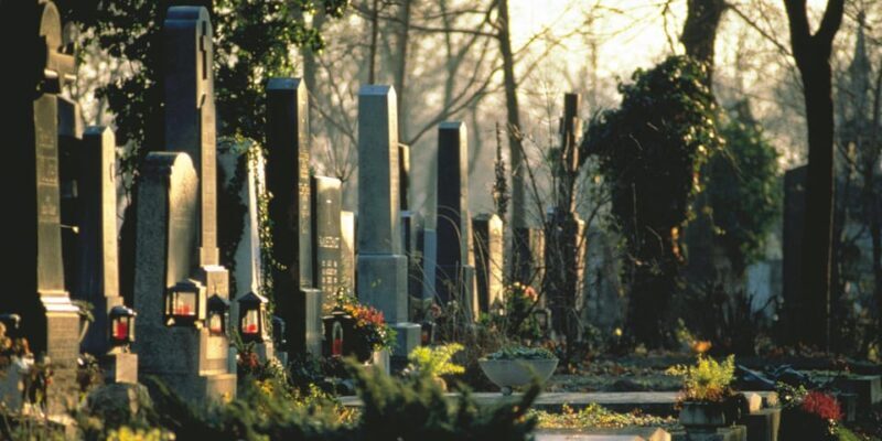 Vienna: Central Cemetery, guided walking tour with fascinating secrets - Key Points