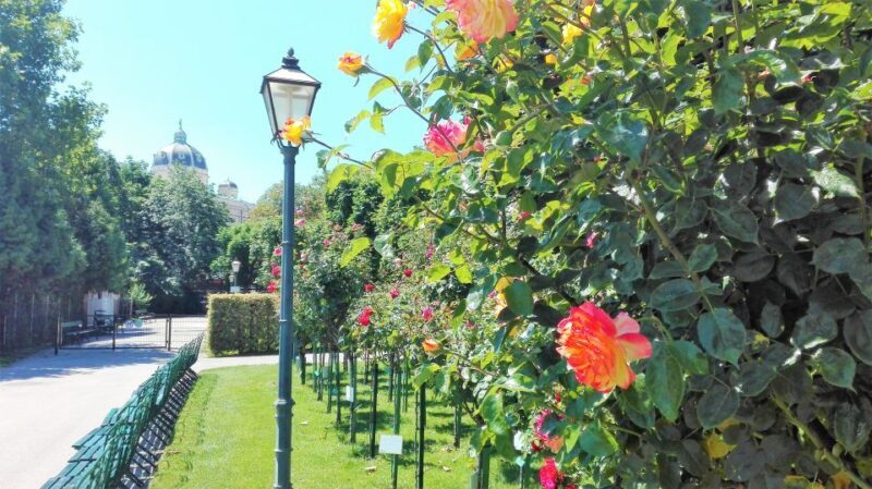 Vienna: City Highlights Guided Walking Tour & Old Town - Vienna: City Highlights Guided Walking Tour & Old Town