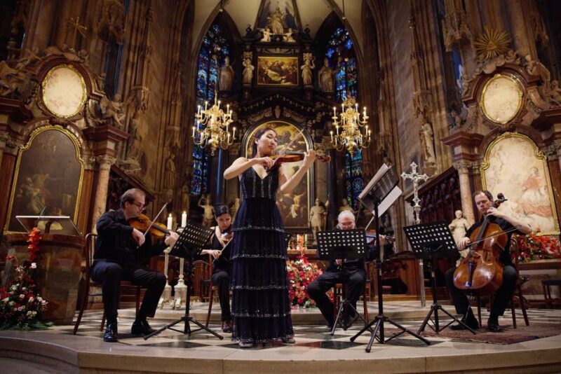 Vienna: Classical Concert at St. Stephen's Cathedral - A Close Look at the Experience