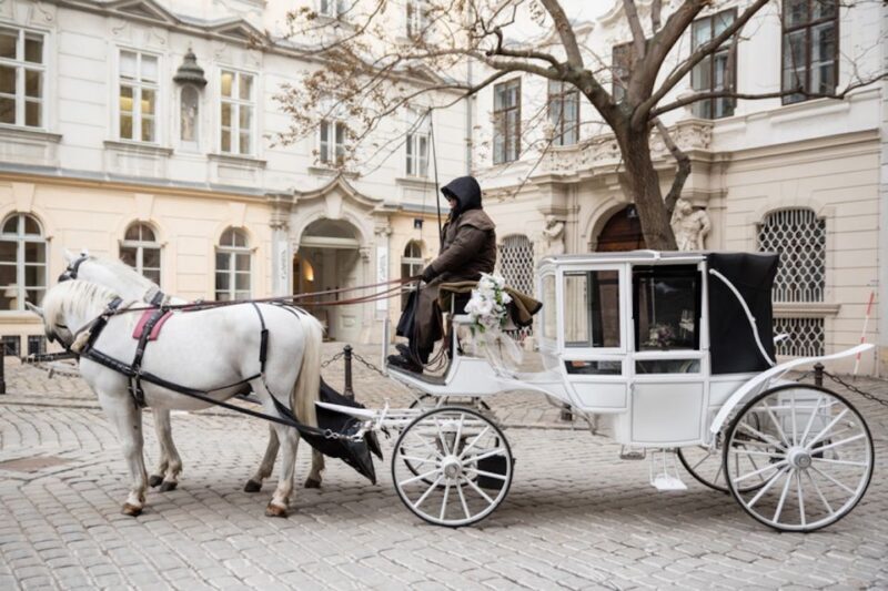 Vienna: Culinary Horse-Drawn Carriage Experience - Cost and Value