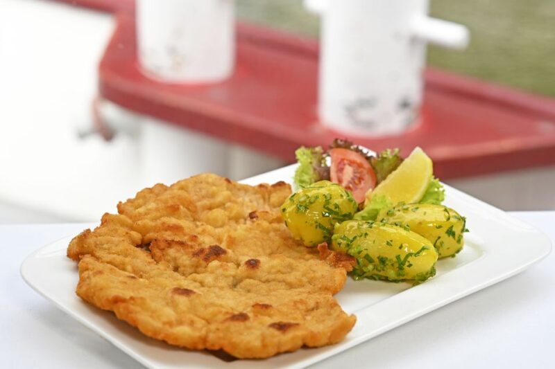 Vienna: Danube River Cruise w/ optional Viennese Specialties - What Makes the Cruise Special?