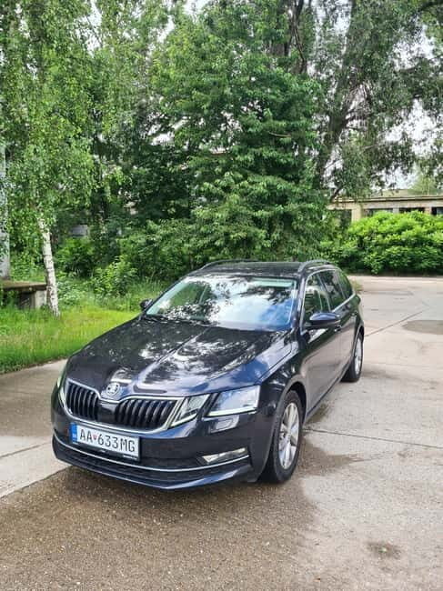 Vienna daytrip: Private transfer from Budapest and back - Key Points