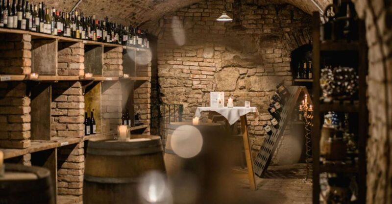 Vienna: Hidden Wine Cellars Tasting Experience - The Experience Beyond the Tasting