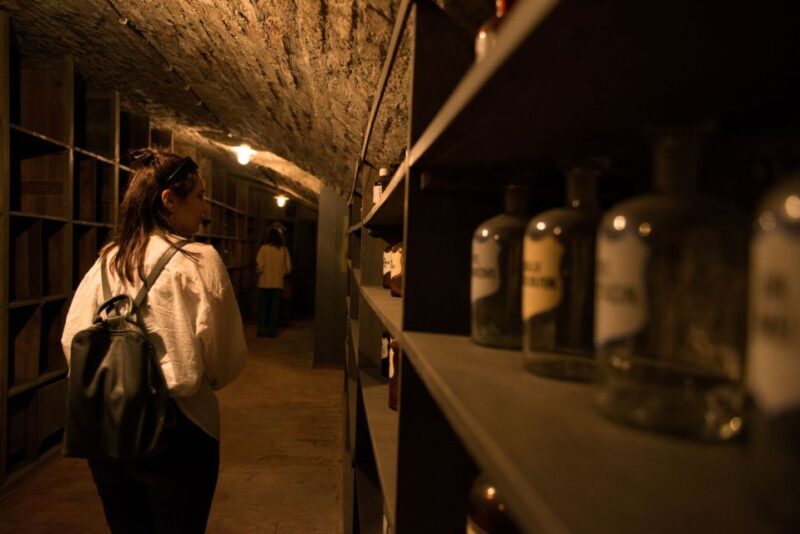 Vienna: Historical Pharmacy Cellar Guided Tour - Key Points