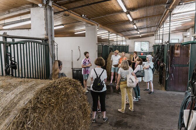 Vienna Horse-drawn Carriage Guided Tour - Is This Tour Right for You?