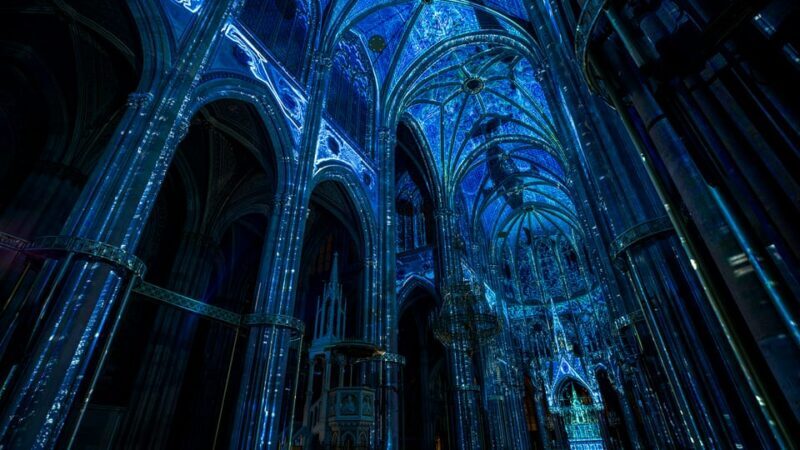 Vienna: Light of Creation Votive Church Immersive light show - Price and Value Analysis