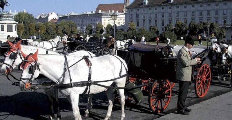 Vienna: Mozart Concert with Dinner and Carriage Ride - An In-Depth Look at the Vienna Experience