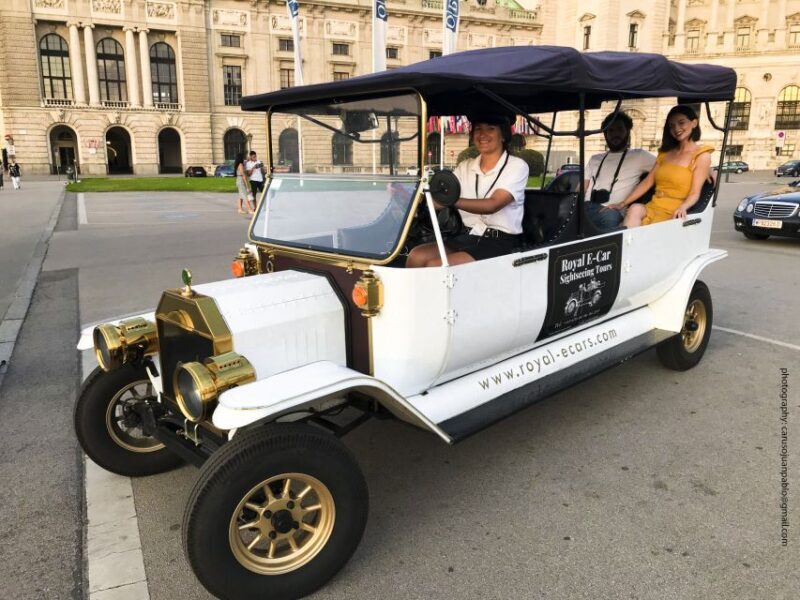 Vienna: Private Electric Car Sightseeing Tour - How the Private Electric Car Tour Works