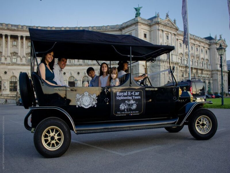 Vienna: Private Electric Car Sightseeing Tour - Who Will Love This Tour?