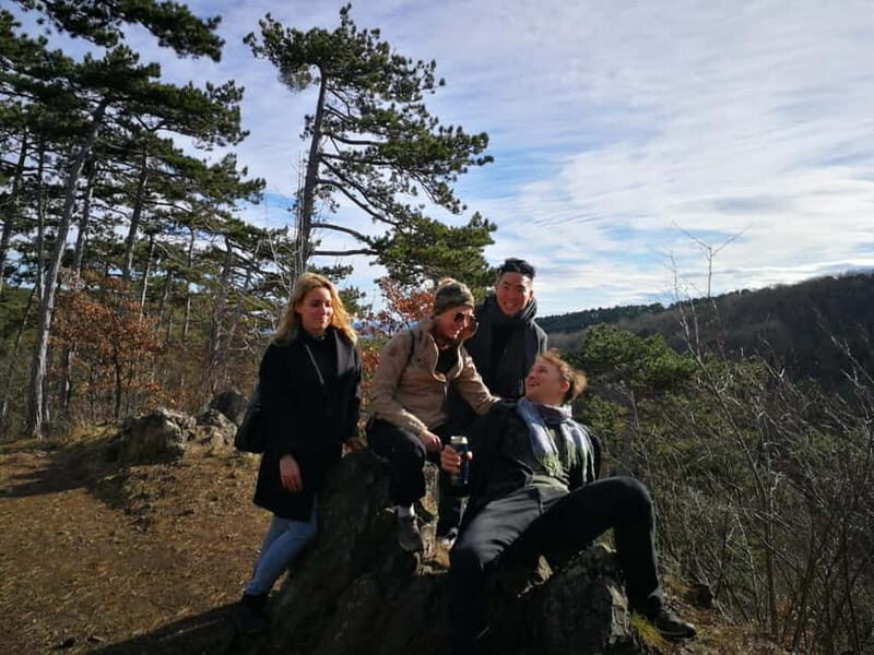 Vienna: Private Walking Tour Through the Hilly Countryside - The Sum Up