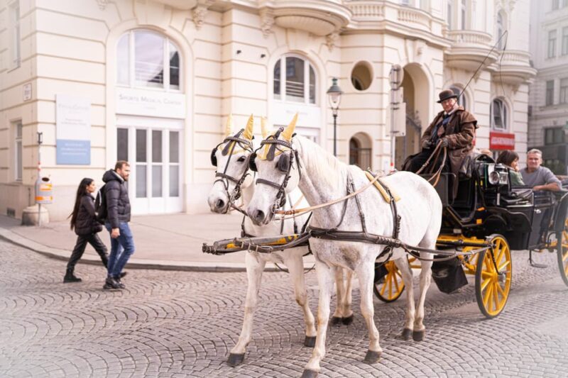 Vienna: Romanian Heritage and Christmas Markets Guided Tour - Key Points