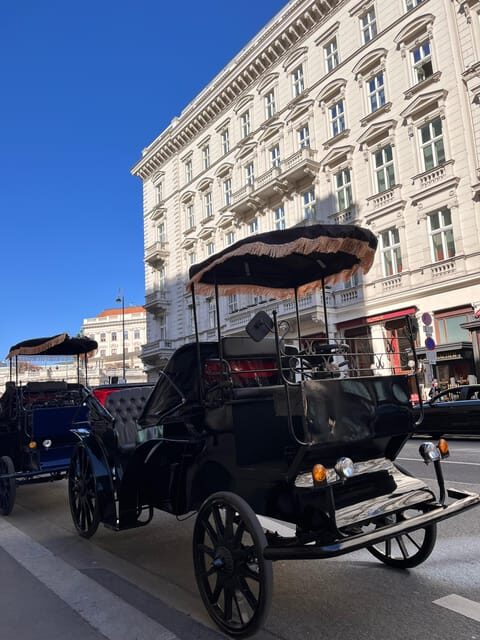 Vienna: Royal E-Carriage Sightseeing Tour incl. Prosecco - A Closer Look at the Experience