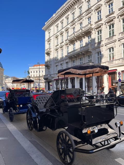 Vienna: Royal E-Carriage Sightseeing Tour incl. Prosecco - Who Is This Tour Best For?