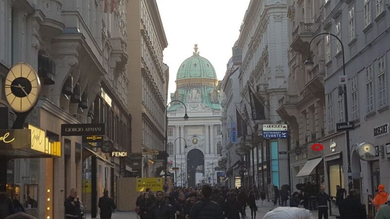 Vienna: Schönbrunn Palace and City Center Guided Tour - Who Should Consider This Tour?
