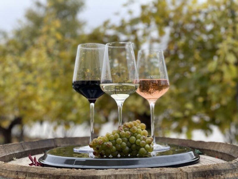 Vienna: Schönbrunn Palace Entry Ticket and Wine Tasting - Transitioning to the Wine Tasting