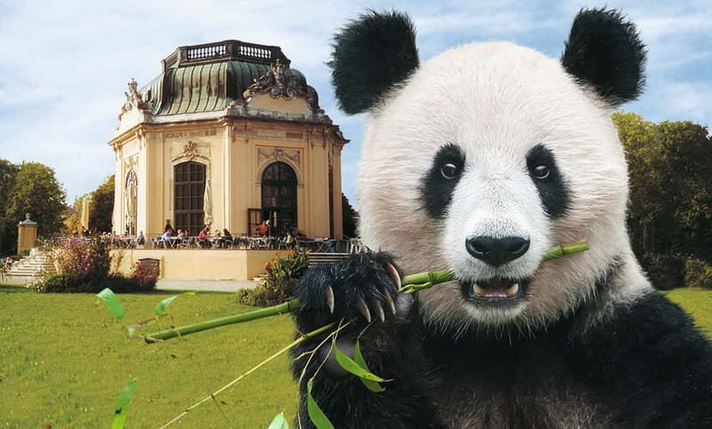 Vienna: Skip-the-line Tickets for Schönbrunn Zoo - A Walk Through the Historic Schönbrunn Zoo
