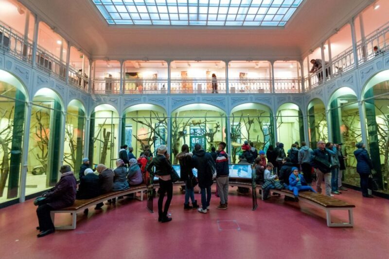 Vienna: Skip-the-line Tickets for Schönbrunn Zoo - The Sum Up: Who Will Love Schönbrunn Zoo?