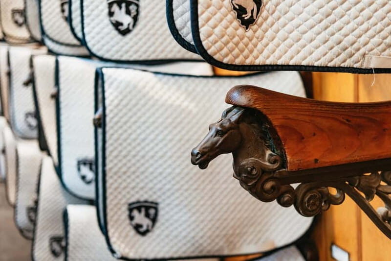 Vienna: Spanish Riding School Guided Architectural Tour - What Visitors Say: Authentic Insights