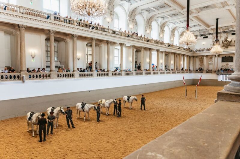 Vienna: Spanish Riding School Training - The Practical Side: Tickets, Timing, and Cost