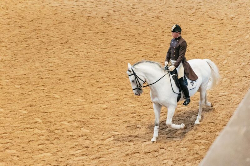 Vienna: Spanish Riding School Training - Summary