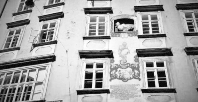 Vienna: Spooky Ghost Tour in English - A Closer Look: What to Expect from the Tour