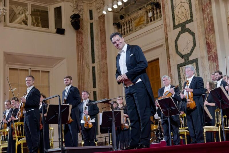 Vienna: Strauss and Mozart Concert at Hofburg Palace - Who This Tour Is Best For