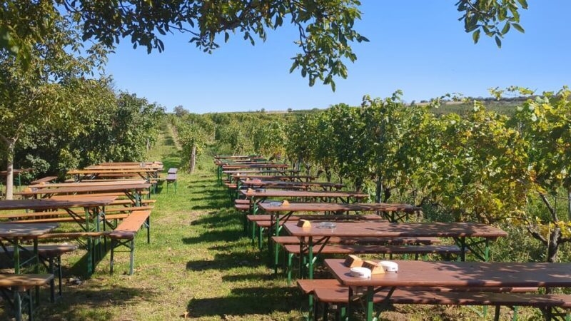 Vienna: Surroundings Sip & Savor Tour - FAQ