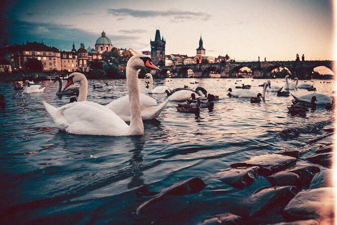 Vienna to Prague - Private Transfer with 2 hours of Sightseeing - The Sum Up