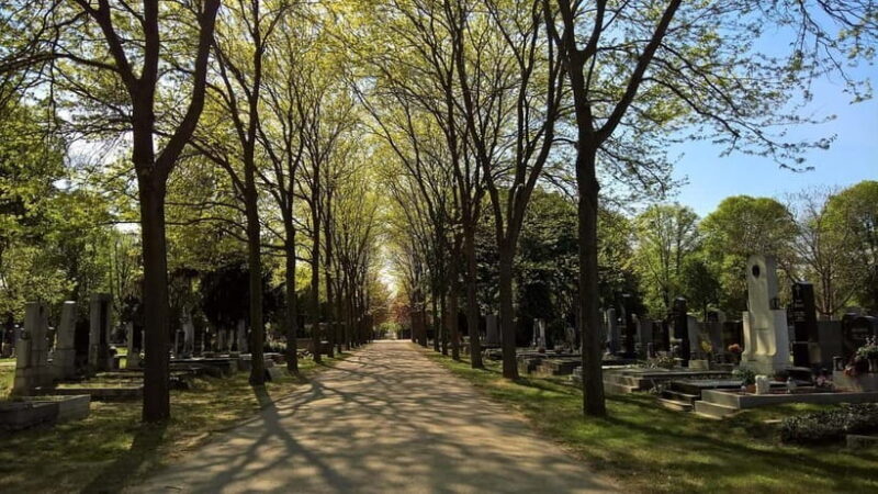 Vienna: Urban Birding  Guided bird watching tour in the big city! - Final Words