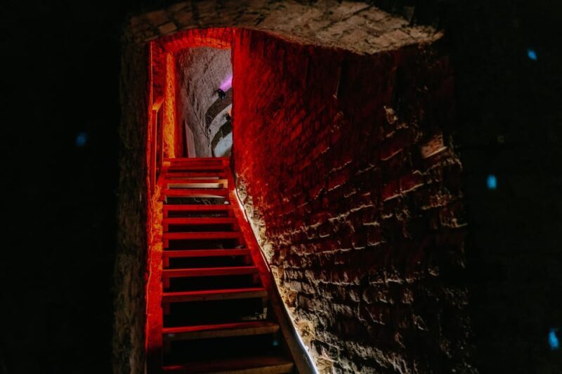 Vienna: Viennese Underworld Guided Walking Tour - The Guides and the Experience