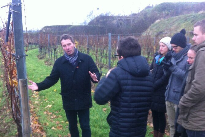 Vienna Wine Experience - An Engaging Introduction to Vienna’s Wine Roots