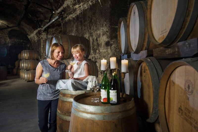 Vienna: Wine Tasting E-Bike Tour - A Closer Look at the Tour Experience