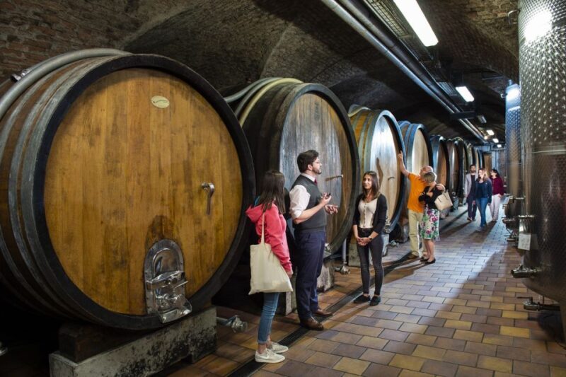 Vienna: Wine Tasting E-Bike Tour - Practical Details and Tips