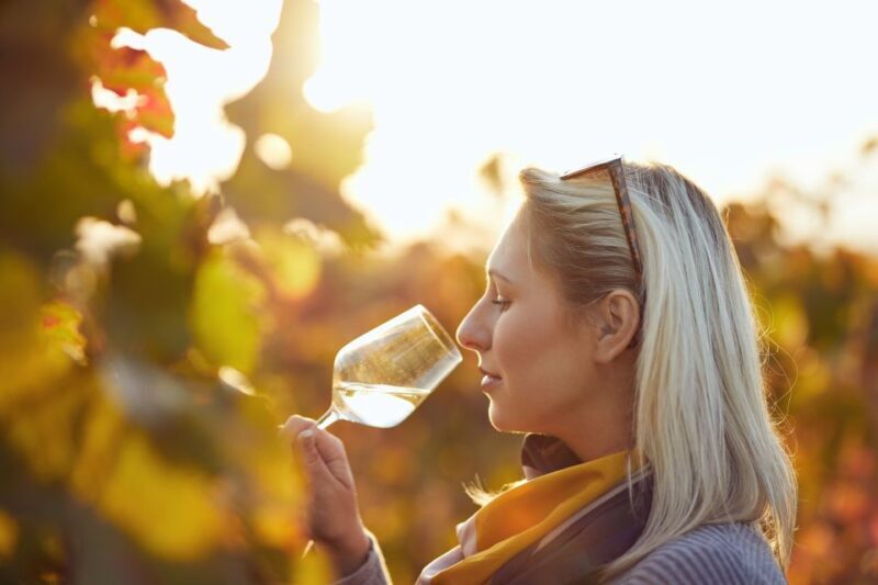 Vienna: Winery and Wine Tasting Tour with a Wine Expert - Key Points