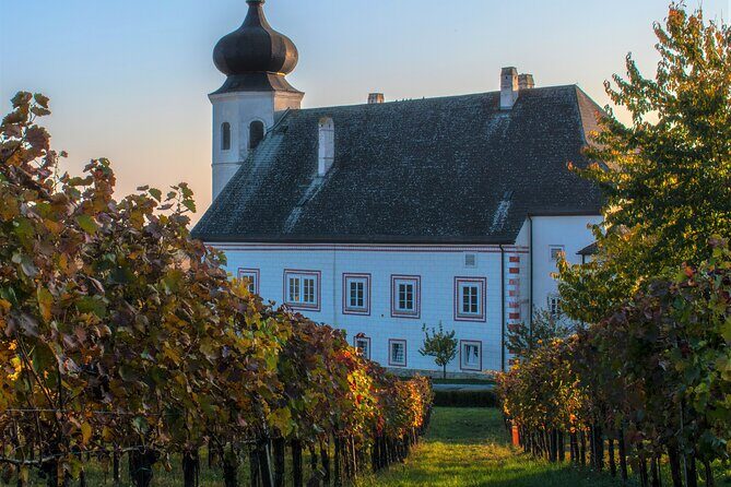 Vienna Woods Wine Tour - Wines, Vines & Good Times! - Practical Details and Tips