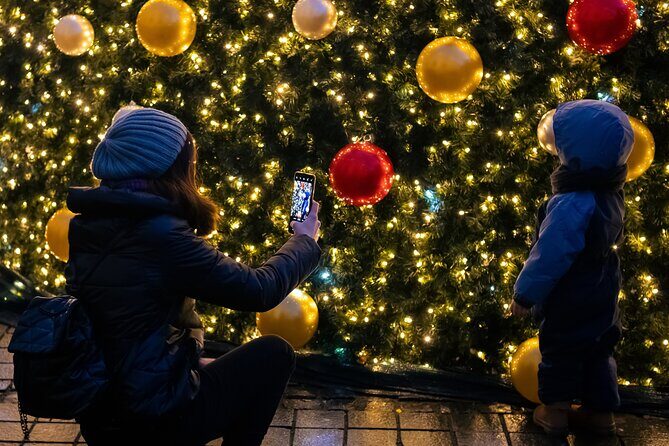 Vienna's Christmas Market Magic Tour - Who Will Love This Tour?