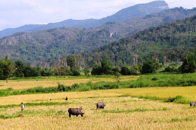 Vientiane Day Trip By Bike To Tad Moon Waterfall - Who Will Enjoy This Trip?