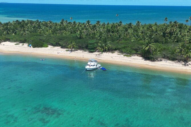 Vieques All-Inclusive: Swim with Turtles & Enjoy Pristine Beaches - Who Should Consider This Tour?