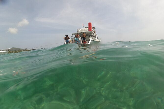 Vieques All-Inclusive: Swim with Turtles & Enjoy Pristine Beaches - Final Thoughts: Is It Worth It?