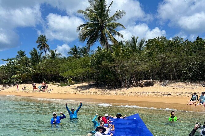 Vieques All-Inclusive: Swim with Turtles & Enjoy Pristine Beaches - Final Summary