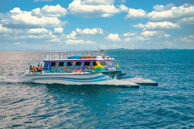 Vieques: Beach and Snorkeling Tour by Catamaran from Fajardo - The Sum Up