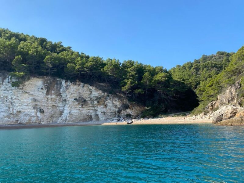 Vieste: Boat tour of the Gargano coast - Key Points
