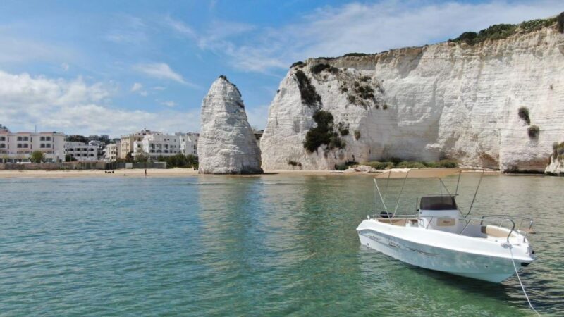 Vieste: Boat tour of the Gargano coast - Authentic Reviews: What Travelers Say