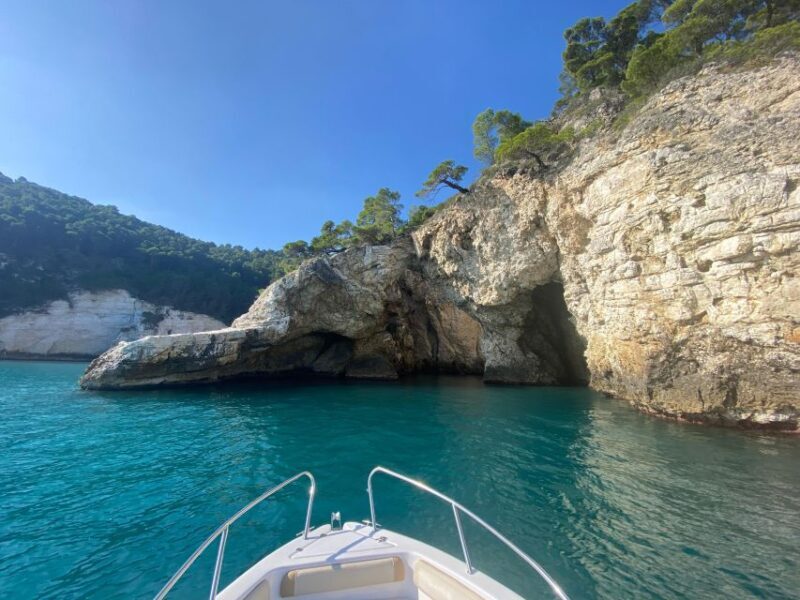 Vieste: Boat tour of the Gargano coast - Price and Value: Is It Worth It?