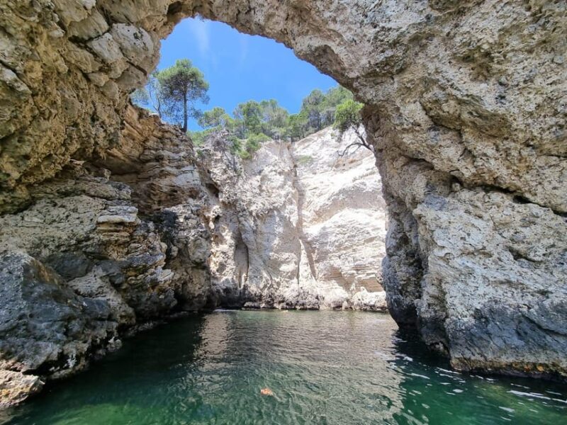 Vieste: South coast boat excursion with swim stop - Summary: The Value Proposition