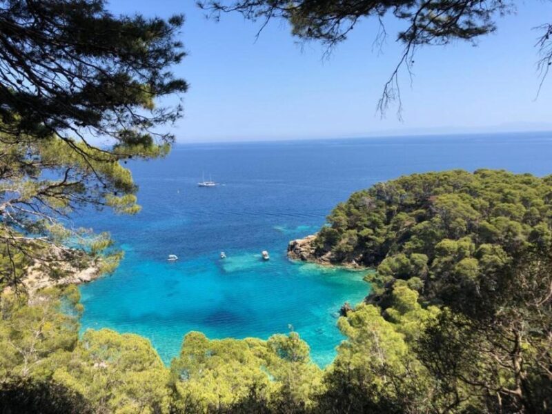 Vieste - Tremiti Islands: private tour by dinghy - The Experience: A Closer Look