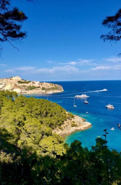 Vieste - Tremiti Islands: private tour by dinghy - The Sum Up